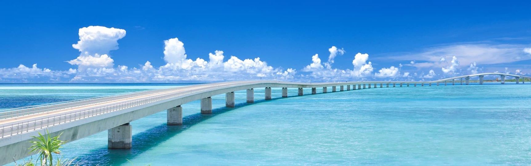 生活&购物-MIIYAKU